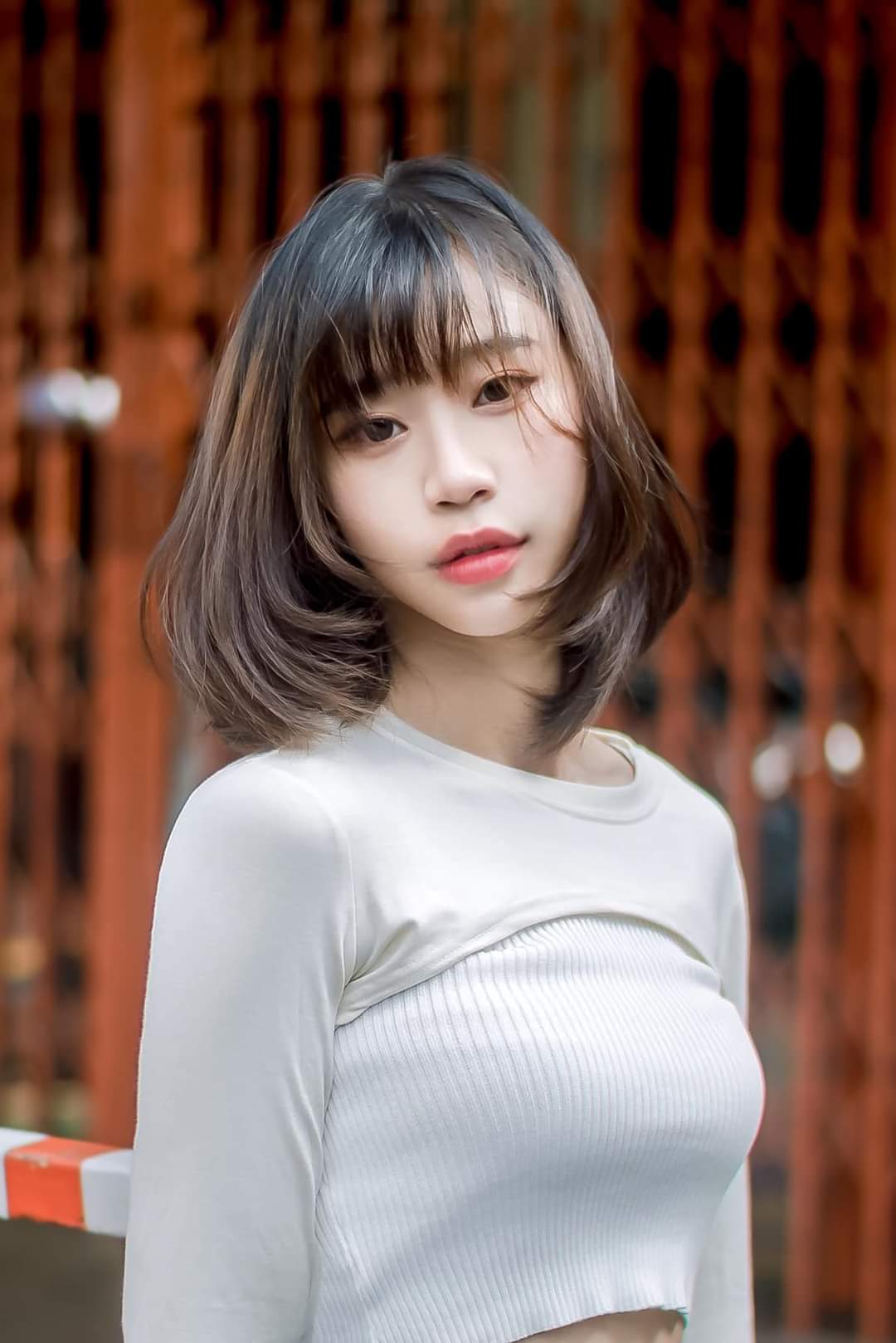 Panda BNK 1 pic