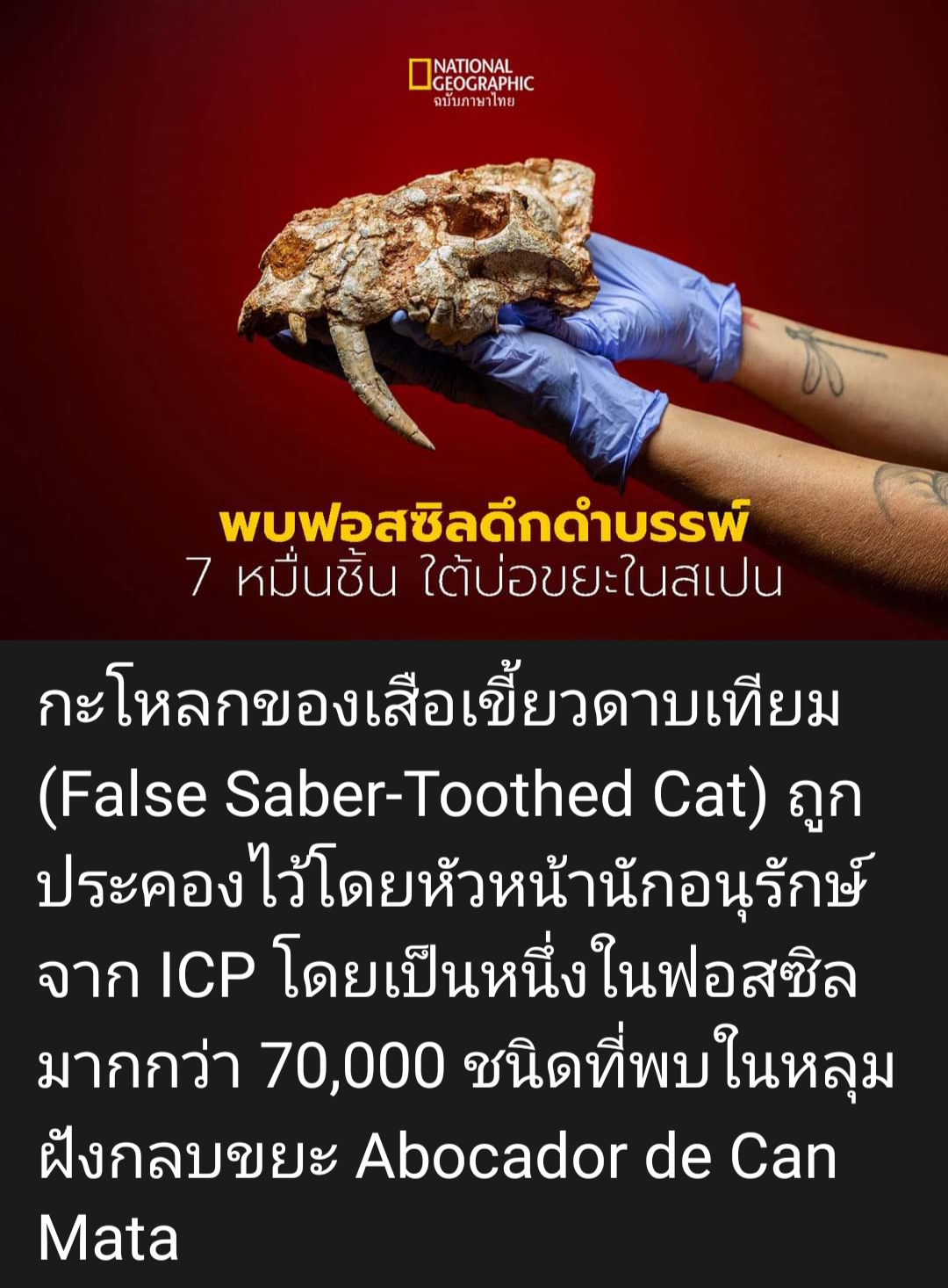 ฟอสซิลสัตว์ของสปีชีส์สิ่งมีชีวิตดึกดำบรรพ์