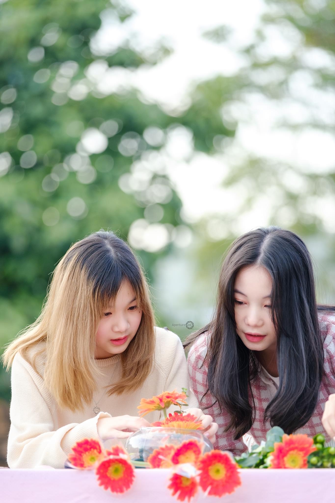 MILK CGM48 : น่ารักดีนะ