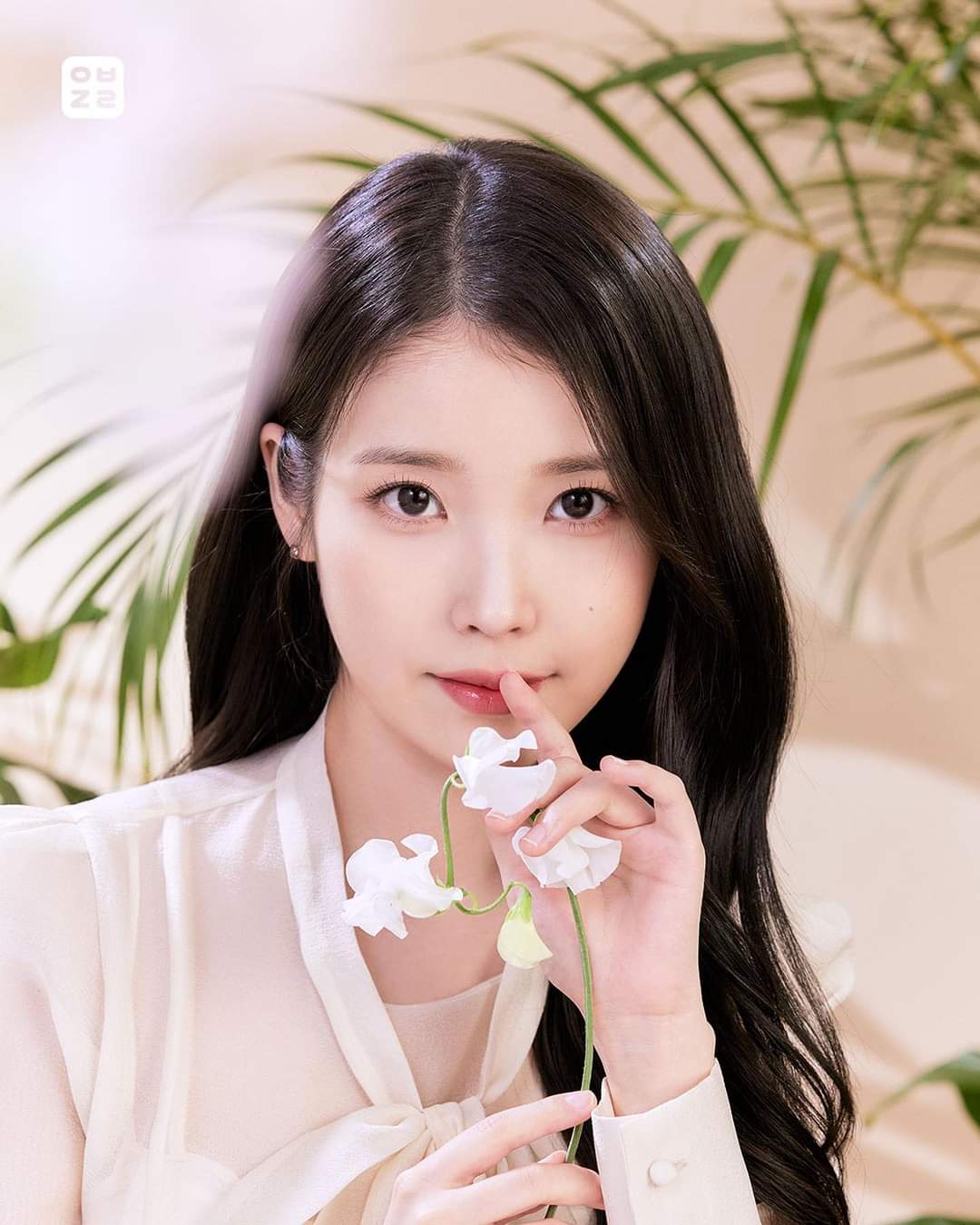 IU x Evezary 6 รูป