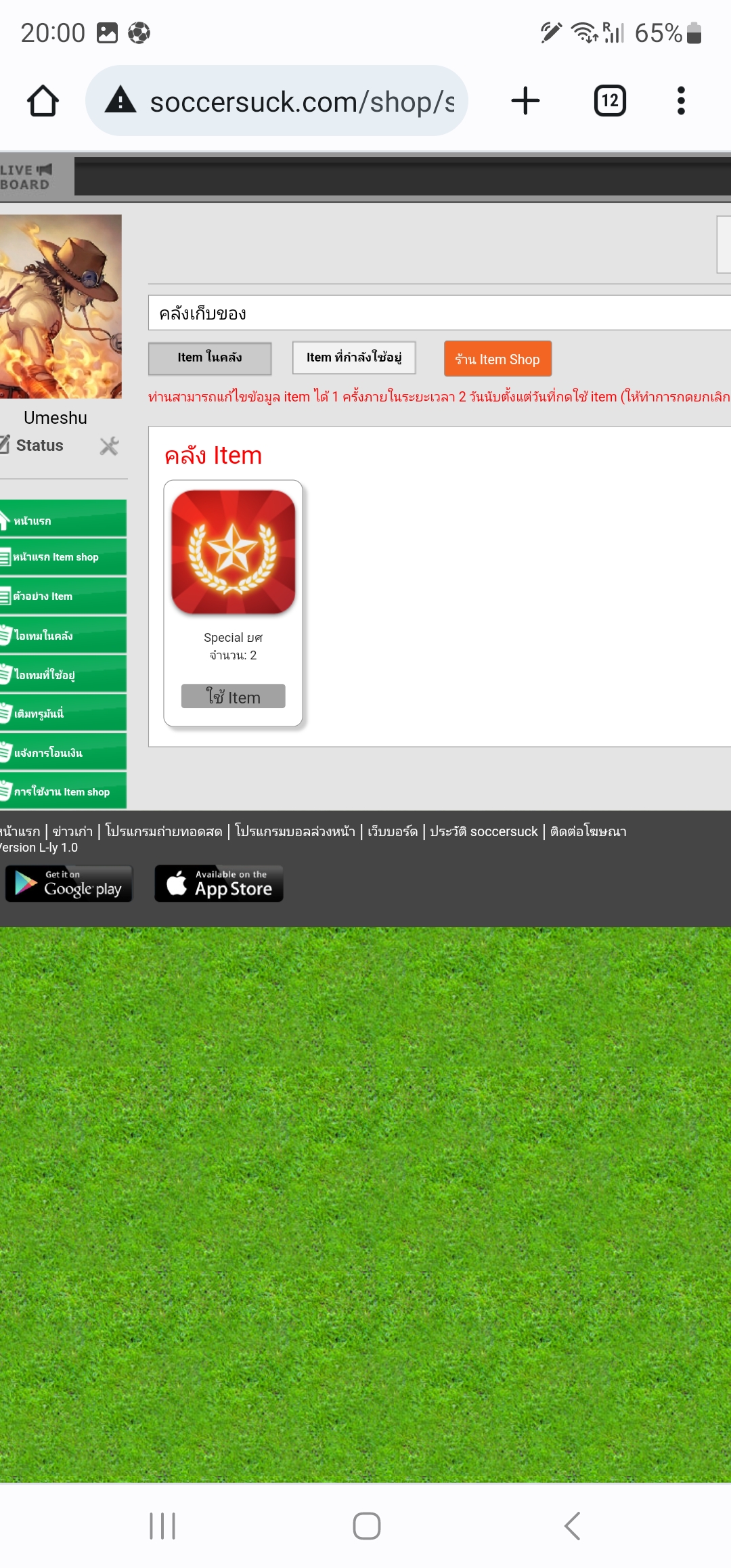 แวะมาแนะนำ"ยศพิเศษ ของชาว SS"ค้าบ