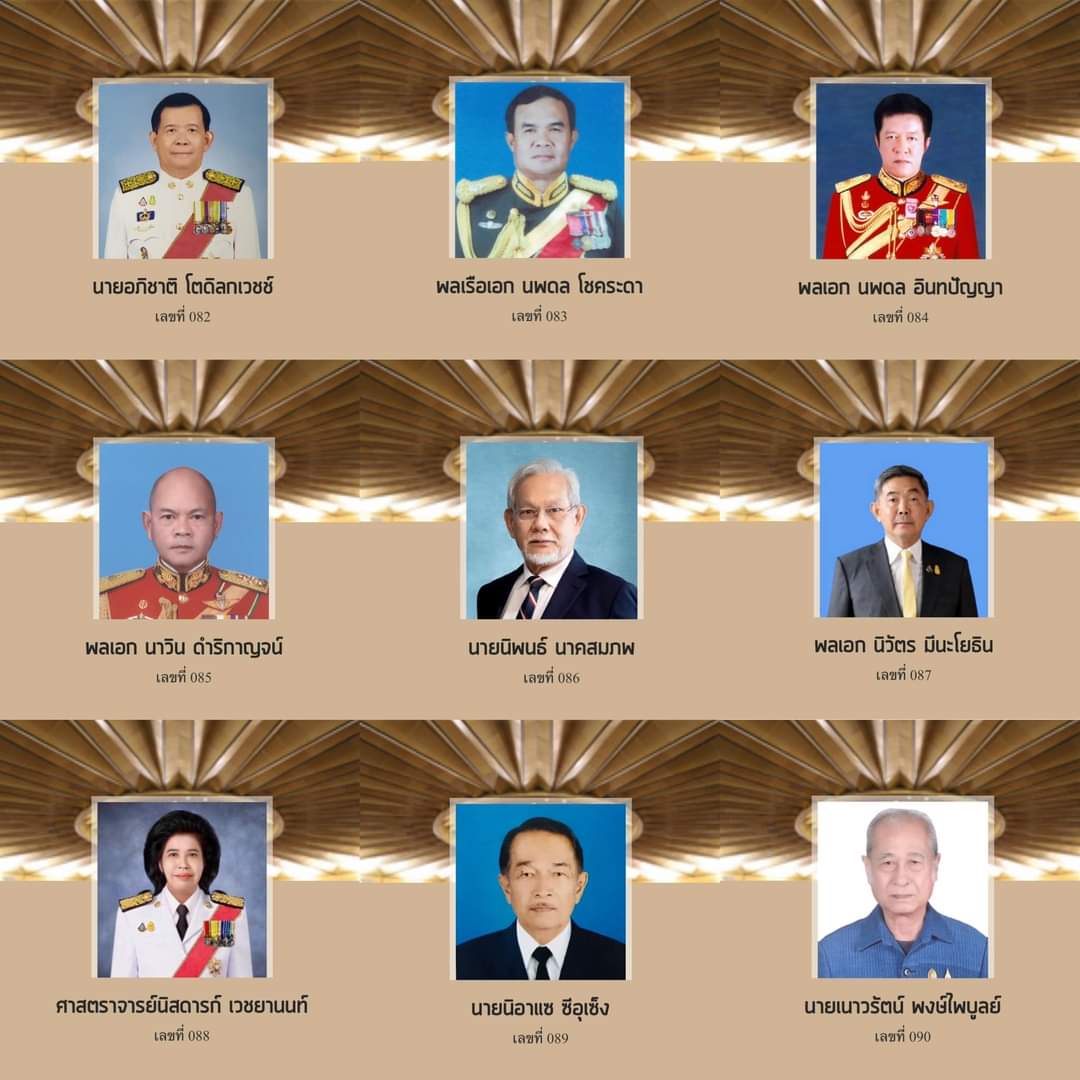 รายชื่อและหน้าตา สว 250 คน