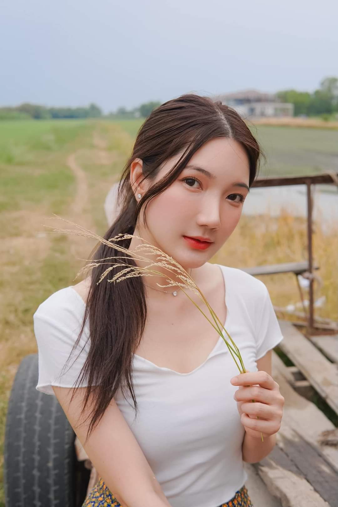 ครีม CreamLike 1 Set สวยงาม