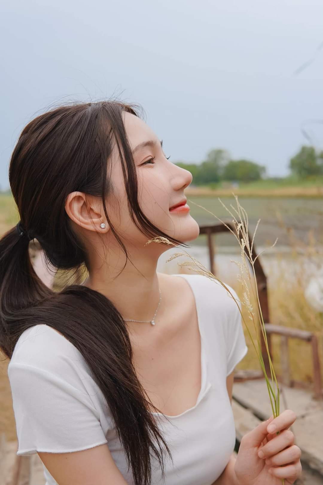 ครีม CreamLike 1 Set สวยงาม