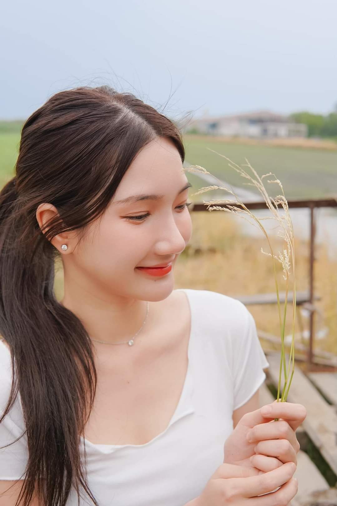 ครีม CreamLike 1 Set สวยงาม