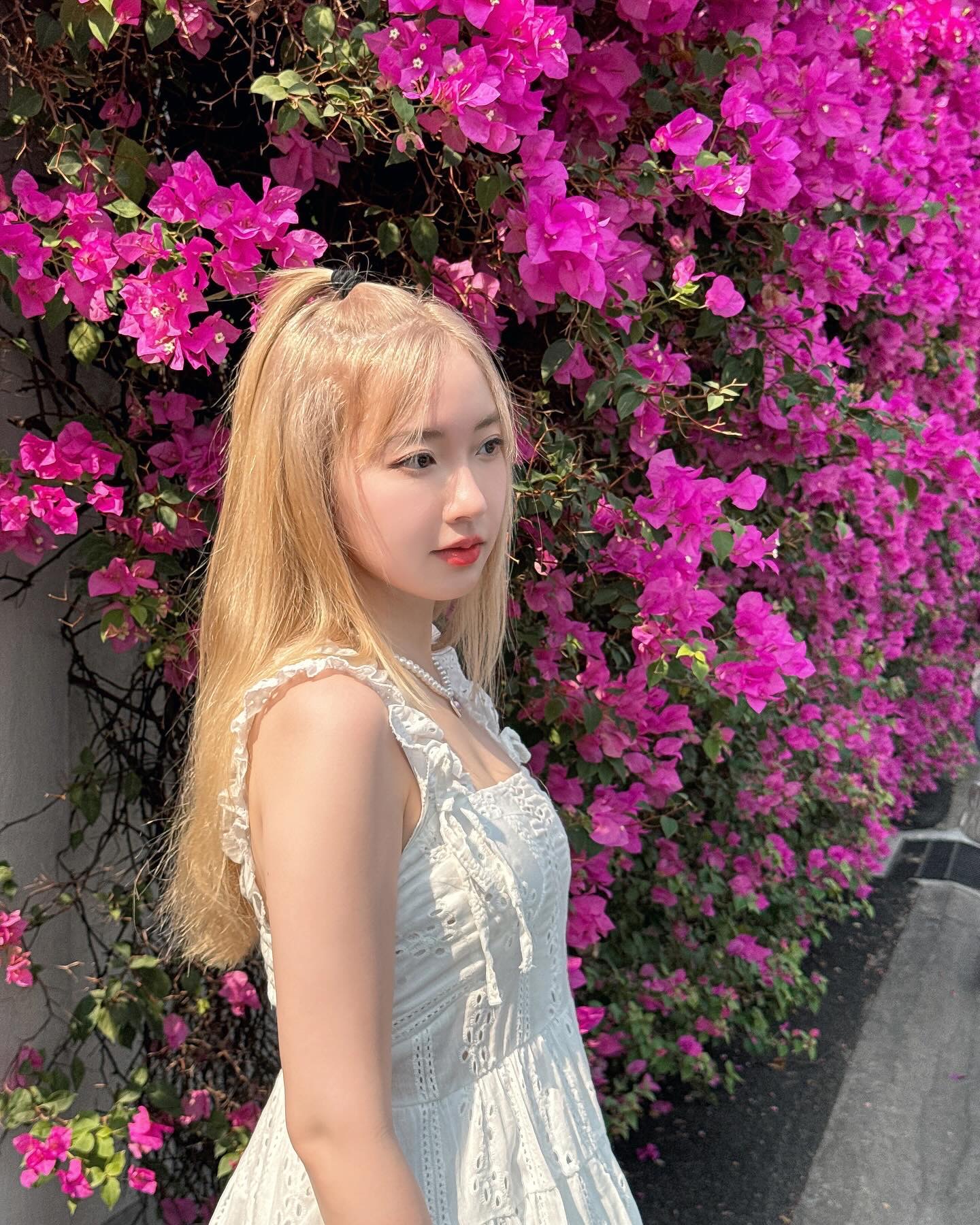 คุณหมอปุยเมฆ 4 รูป 1 GIF