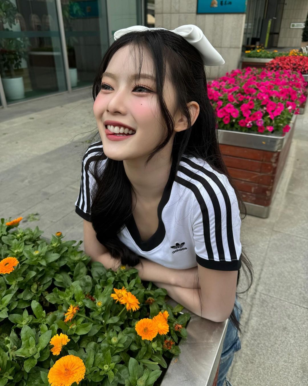 มาเบล PiXXiE 5 รูป